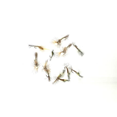 Ugly Bug Fly Shop - Ugly Bug Fly Shop