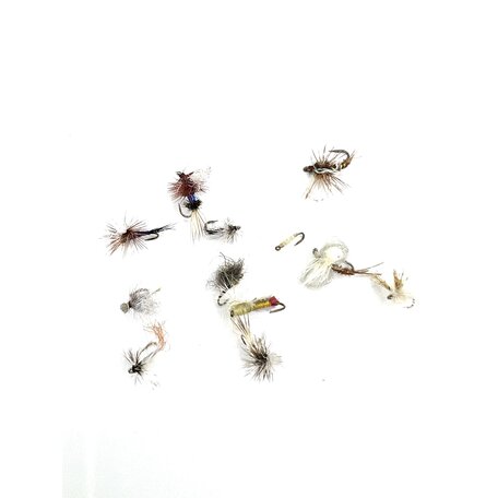 Ugly Bug Fly Shop - Ugly Bug Fly Shop