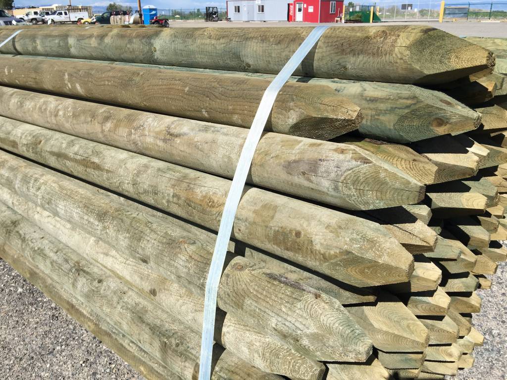 ACQ TREATED FENCE POSTS - POINTED - SWi Fence & Supply