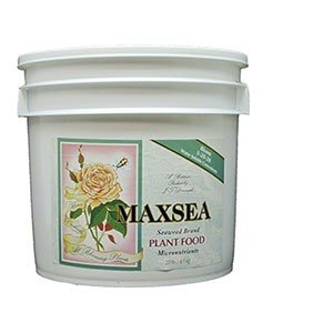 Maxsea Bloom - RASA Garden Supply Company