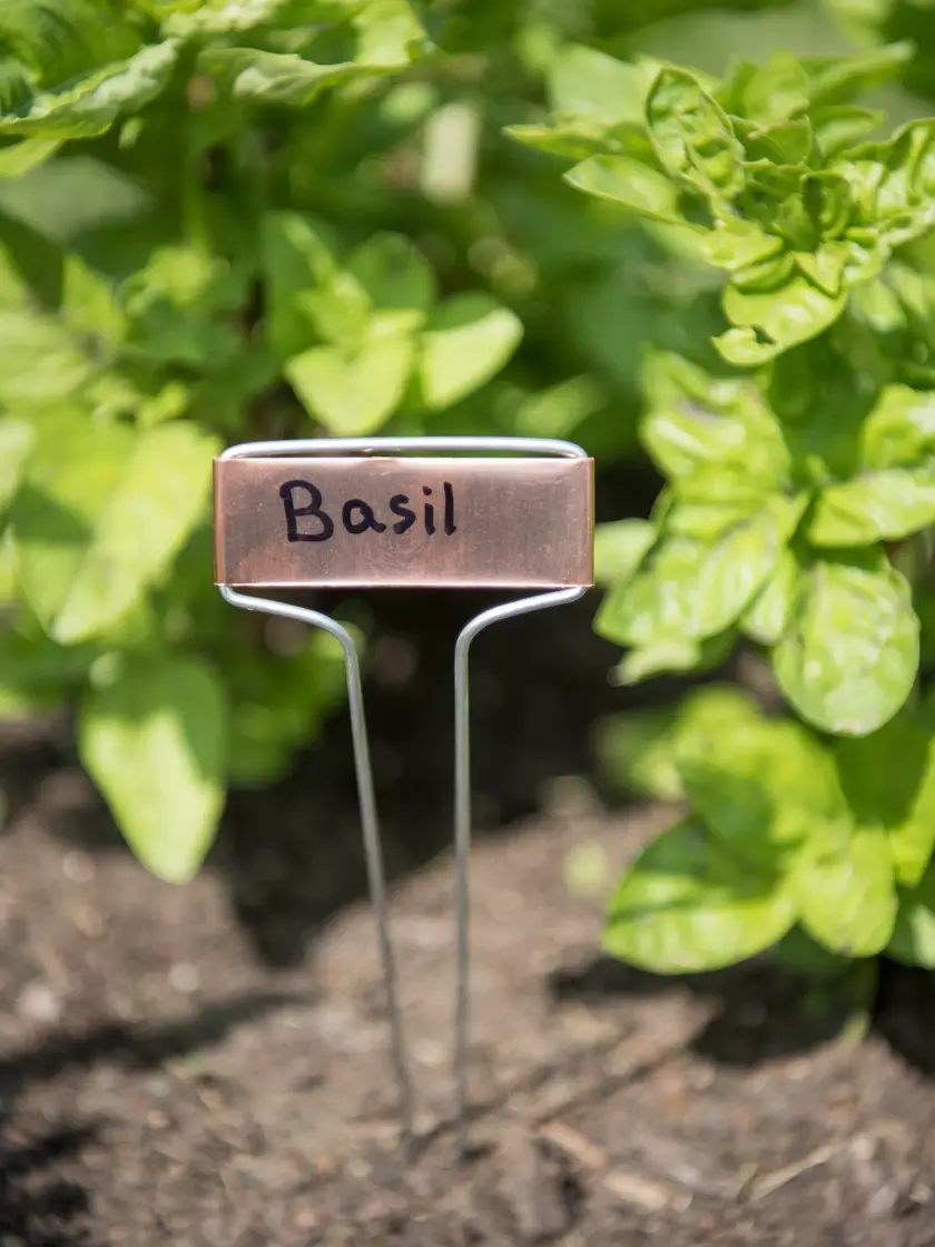 10 Inch Metal Stake Plant Markers with Copper Plate Pack of 12 - RASA ...