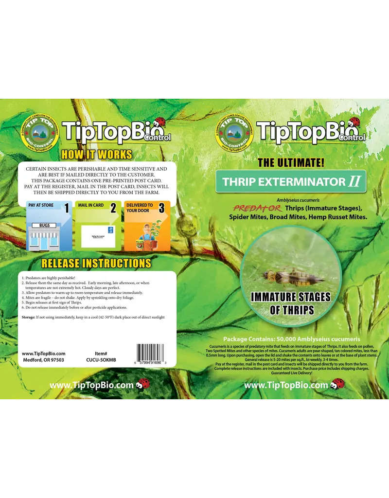 Amblyseius cucumeris - Thrip and Spider Mite Control - RASA Garden ...