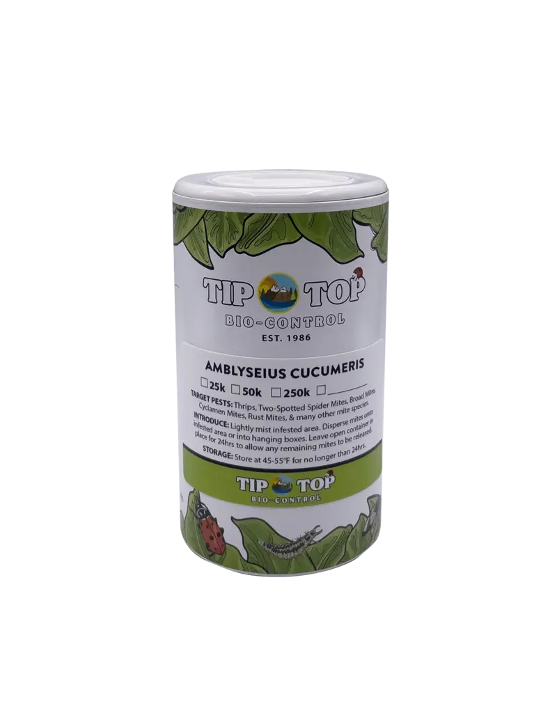 Amblyseius cucumeris - Thrip and Spider Mite Control - RASA Garden ...