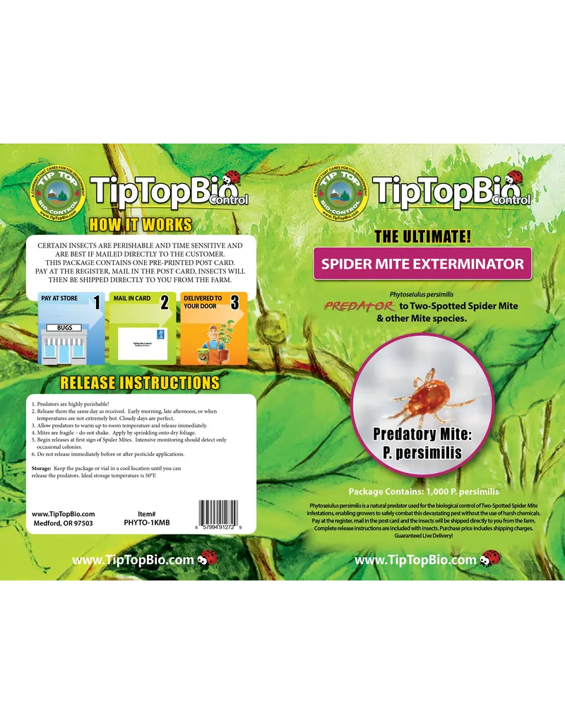 Phytoseiulus persimilis - Two Spotted Spider Mite Specialist! - RASA ...