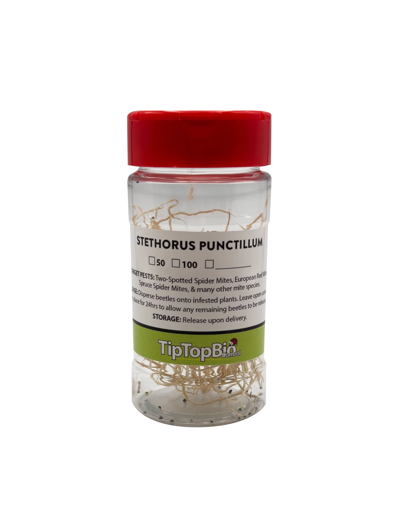 Stethorus punctillum - Spider Mite Control - RASA Garden Supply Company