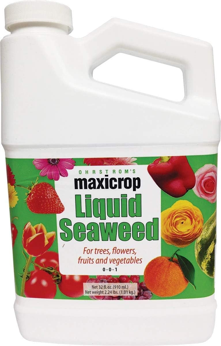 Maxicrop Liquid Seaweed 0-0-1 - RASA Garden Supply Company