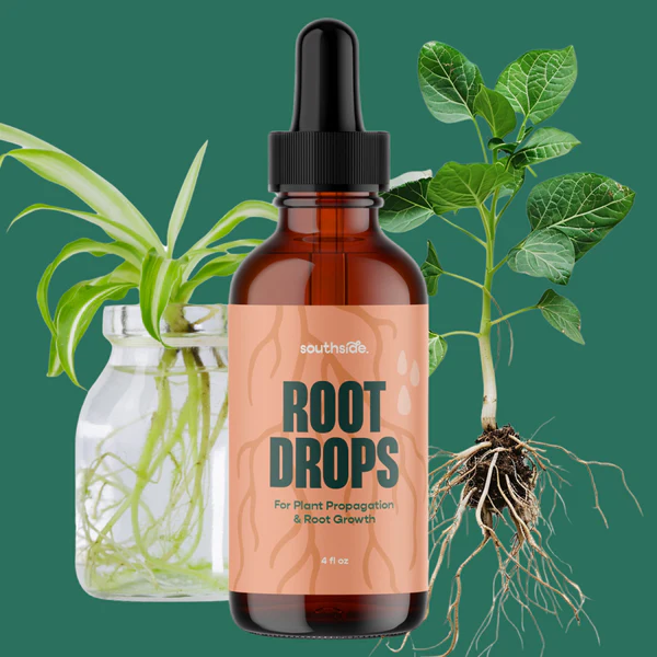 Southside Root Drops - For Propagations & Repotting 4 fl oz - RASA ...