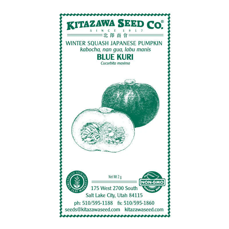 Japanese Winter Squash - Blue Kuri - RASA Garden Supply Company
