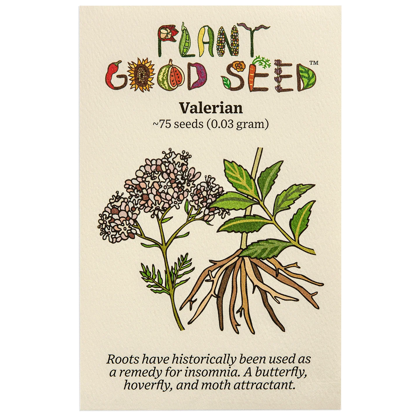 Valerian - Official Organic - RASA Garden Supply Company