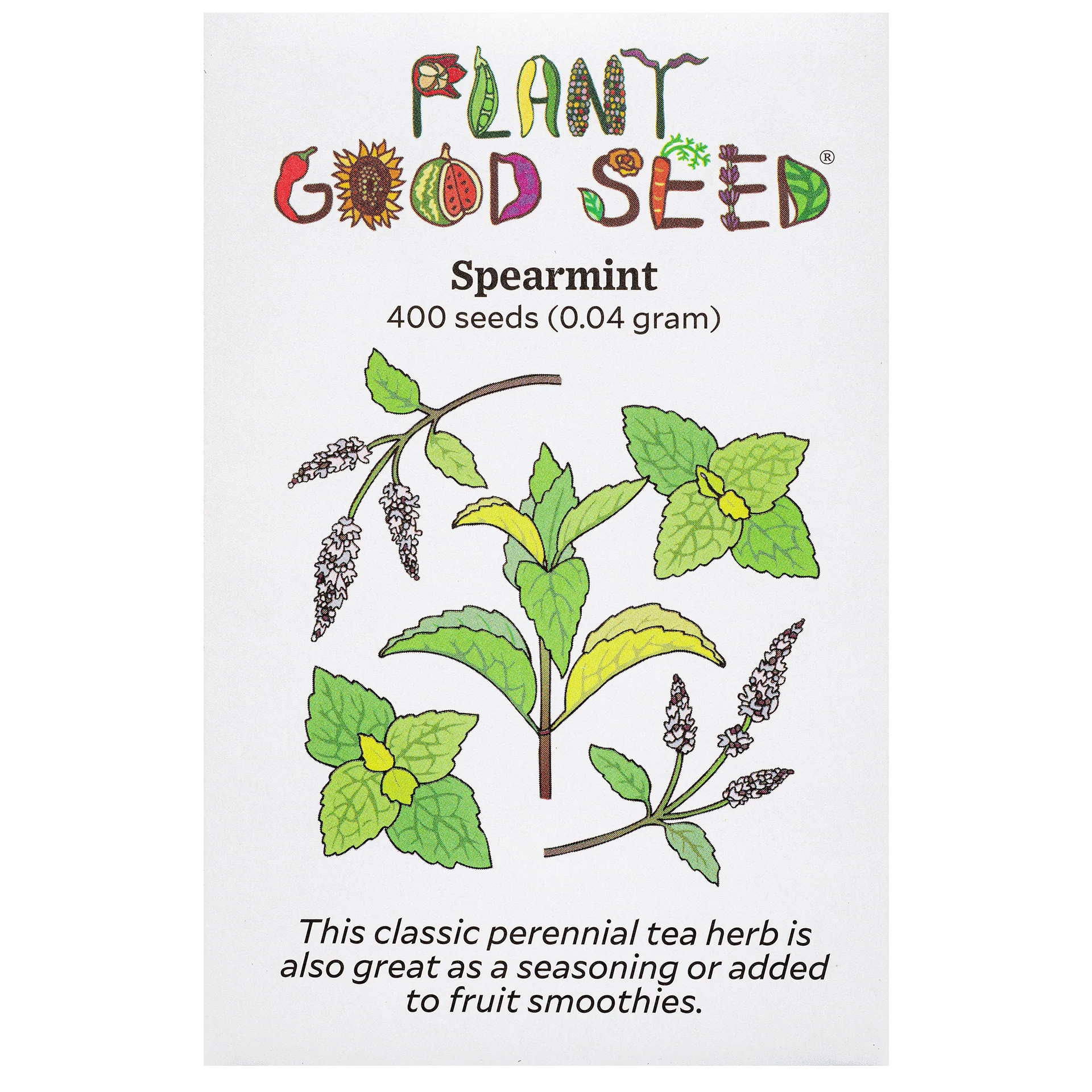 Mint - Spearmint - RASA Garden Supply Company