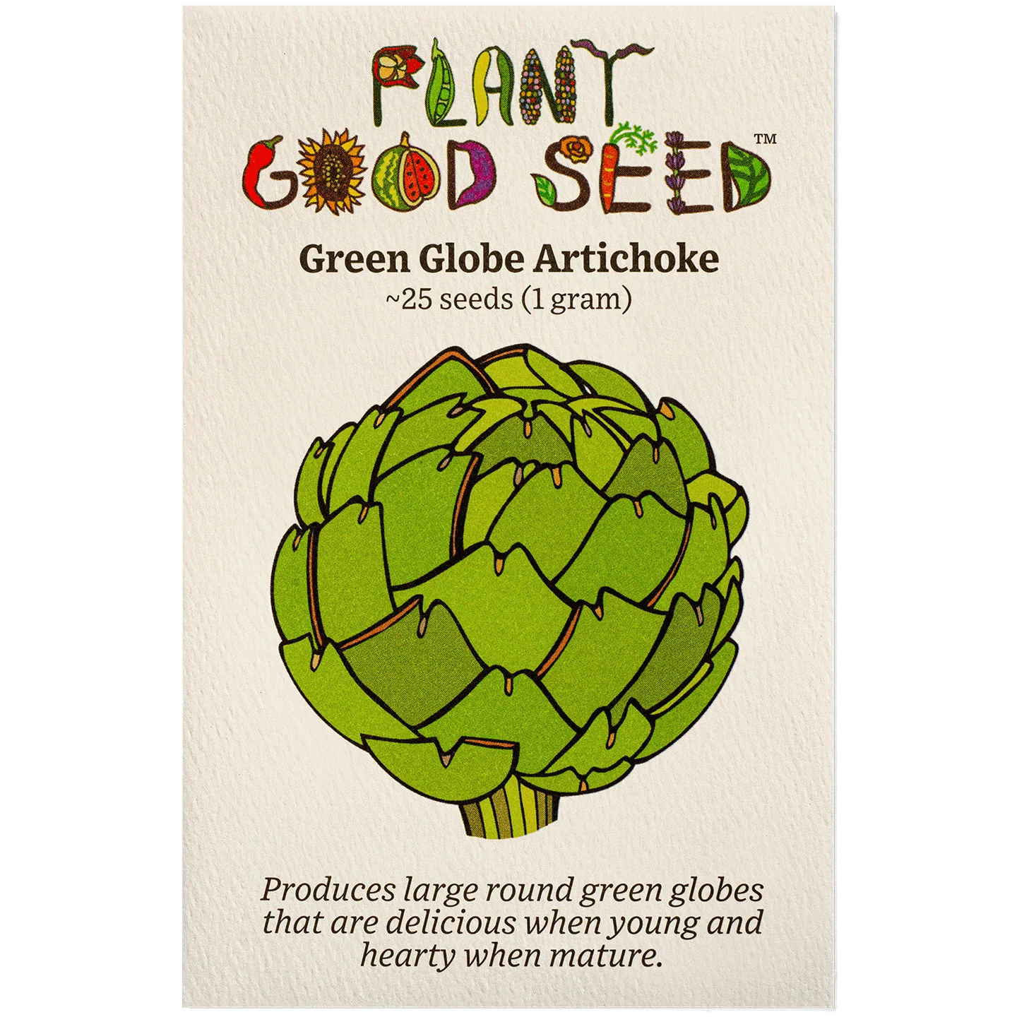 Artichoke - Green Globe - RASA Garden Supply Company