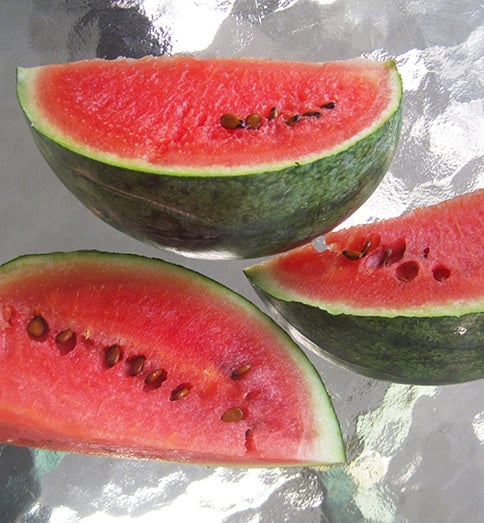 Watermelon - Blacktail Mountain - RASA Garden Supply Company