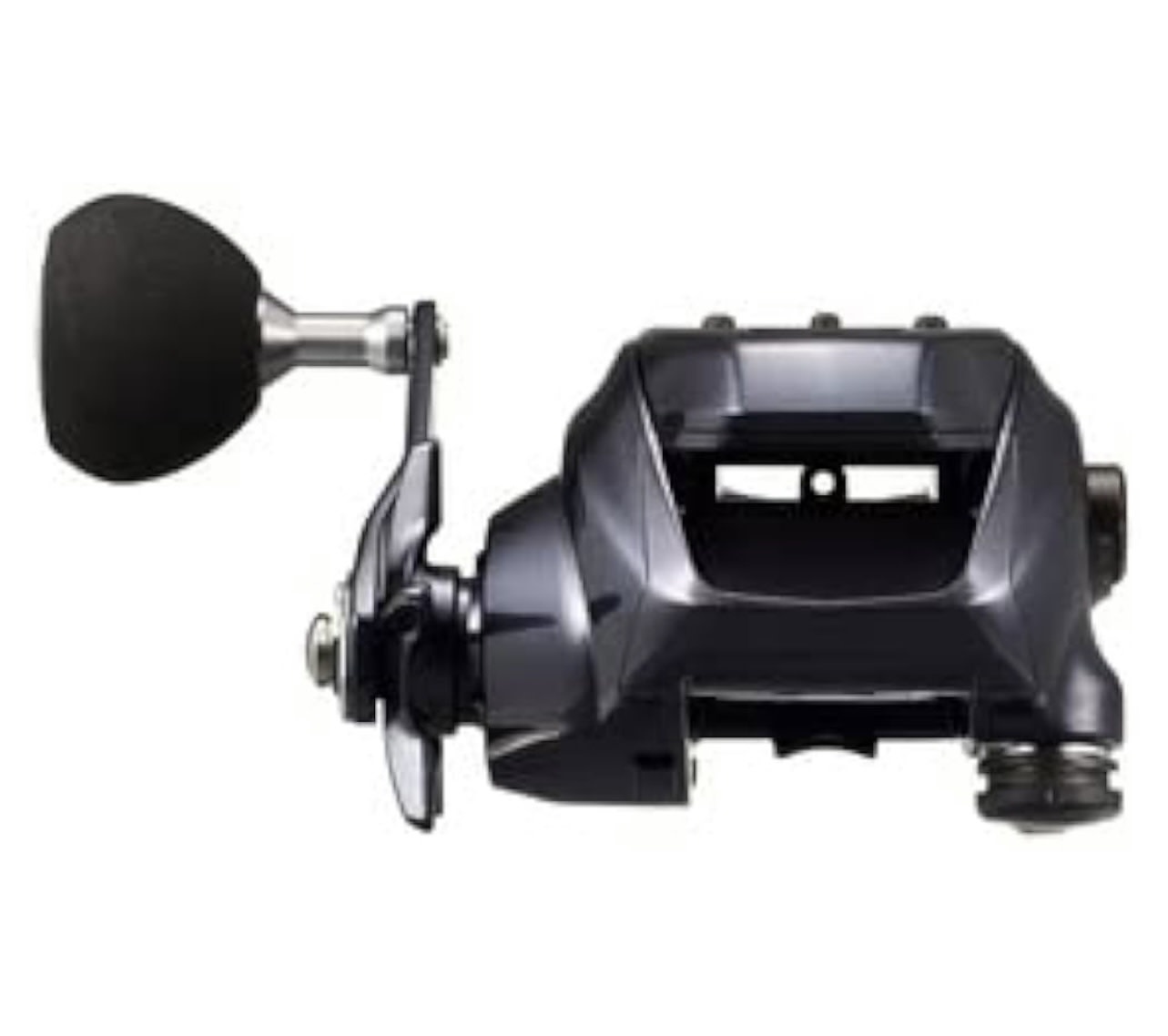 Daiwa Leobritz Electric JDM Reels - Angler's Choice Tackle