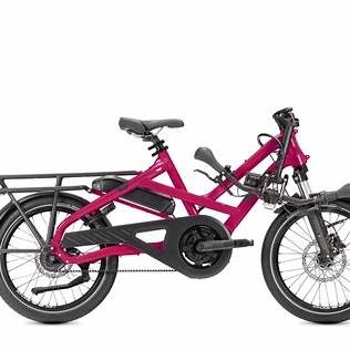 Tern HSD P5i (Gen 2), Dragon Fruit - Freedom Folding and Electric Bikes ...