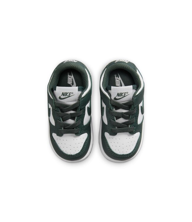 Nike Dunk Low (TD) FB9107-120 - Sam Tabak