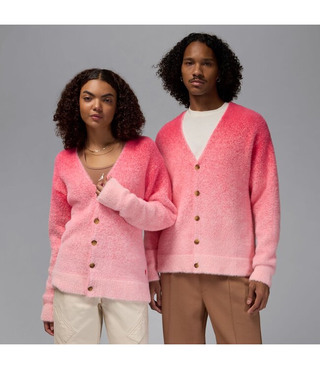 AIR JORDAN CARDIGAN 'ASTER PINK' FV7426-629 - Sam Tabak