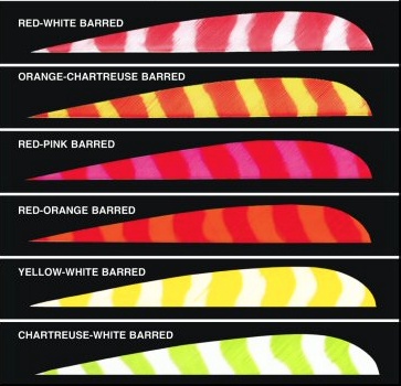 Tru-Flite Trueflight Feathers Bright Stripes Barred Shield Cut - each ...