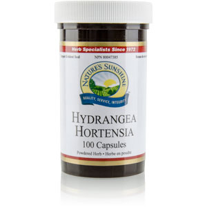 Hydrangea (100 capsules) - Family Herbal Clinic & Herb Shop