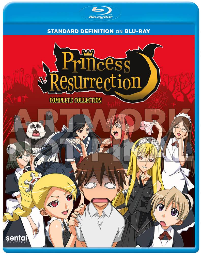 Princess Resurrection Complete Collection Blu-Ray - Collectors Anime LLC