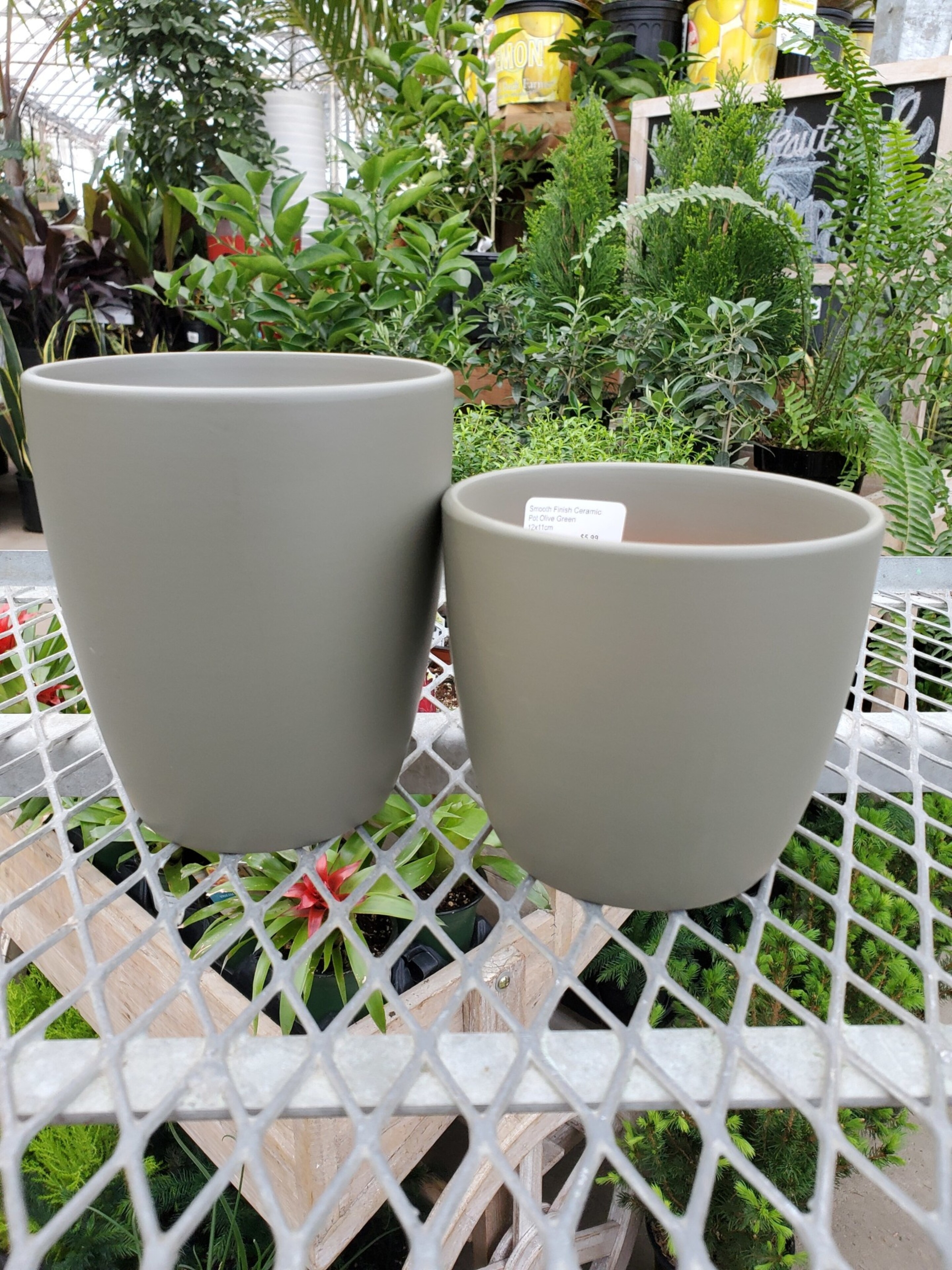 Smooth Finish Ceramic Pot - Dutch Growers Saskatoon