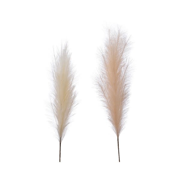 Christmas - Dutch Growers Saskatoon