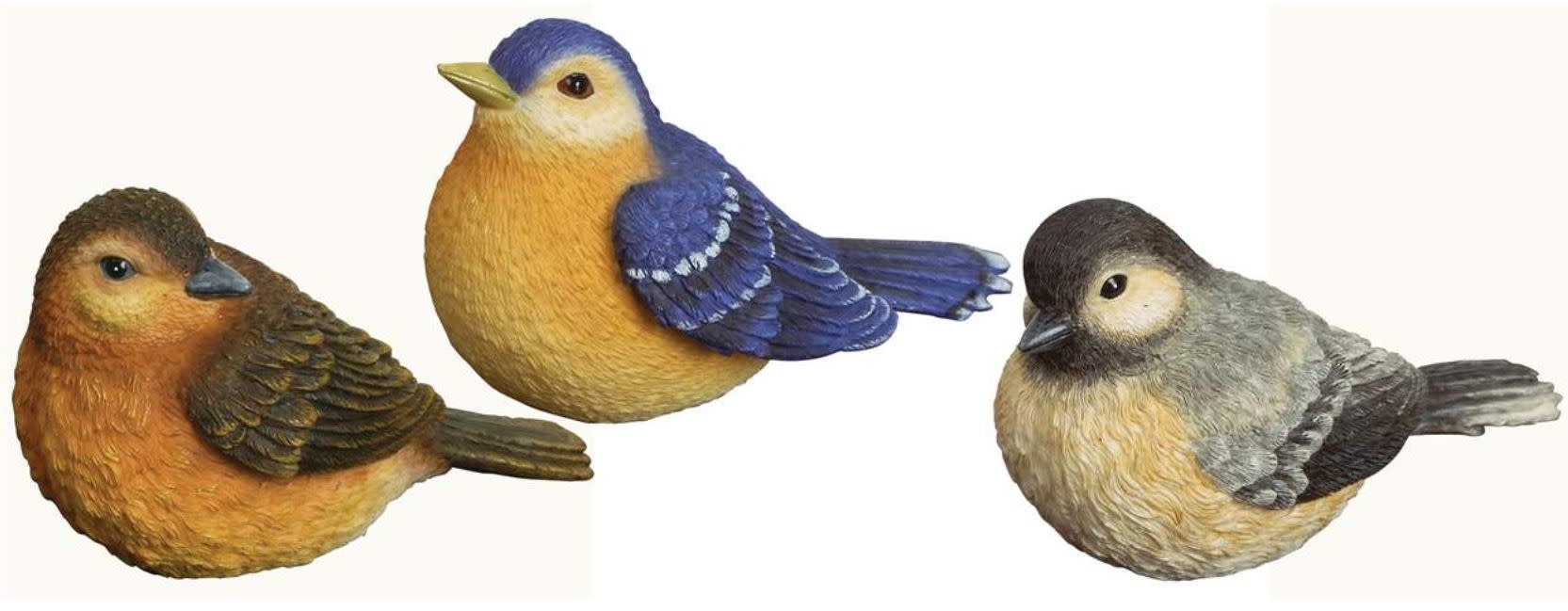 Songbird Assorted Mini Bird - Dutch Growers Saskatoon