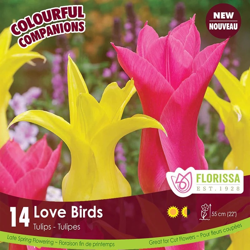 Plants & Pots | Dutch Growers Saskatoon - Dutch Growers Saskatoon