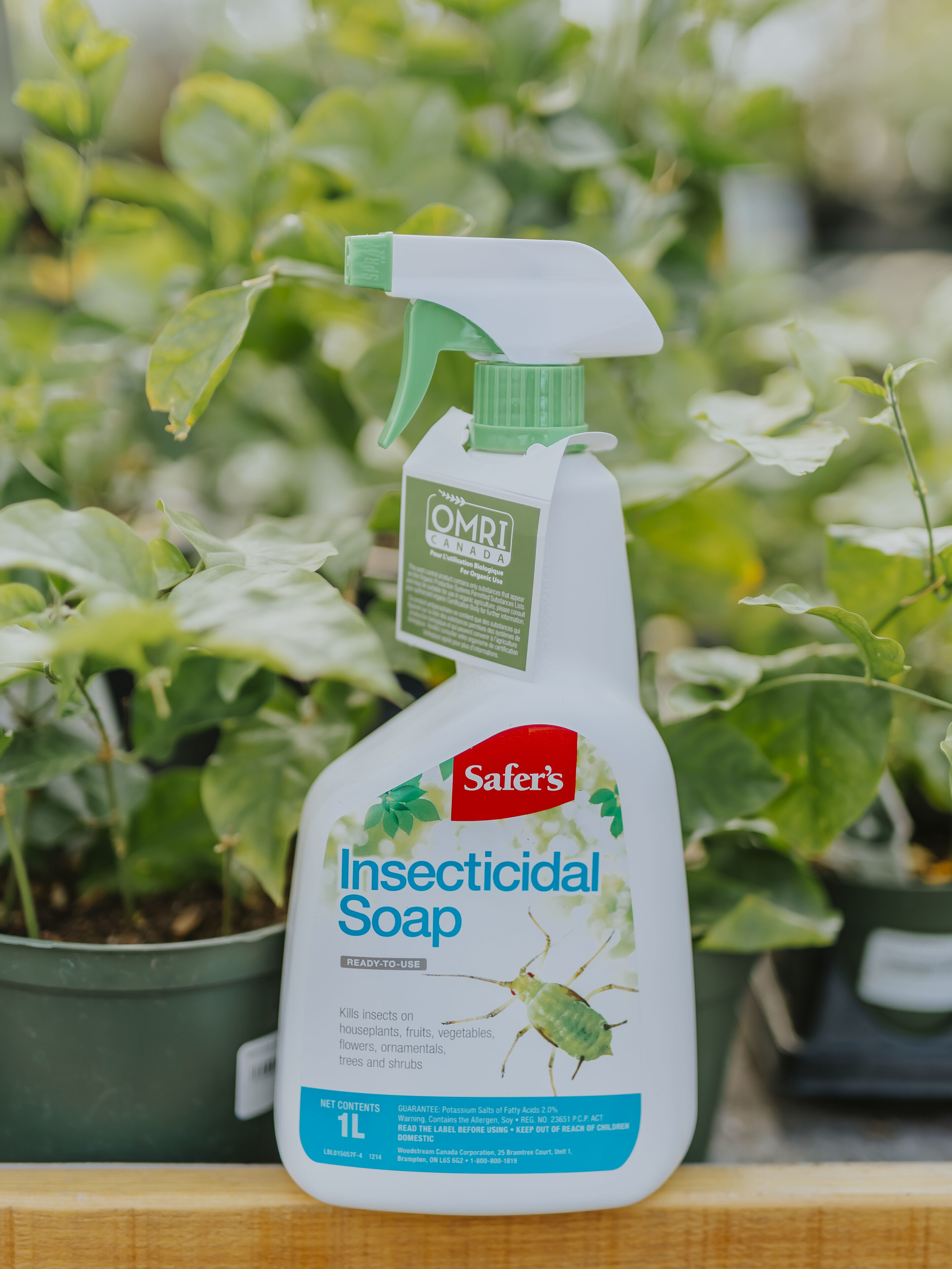 Insecticidal Soap RTU 1L - Dutch Growers Saskatoon