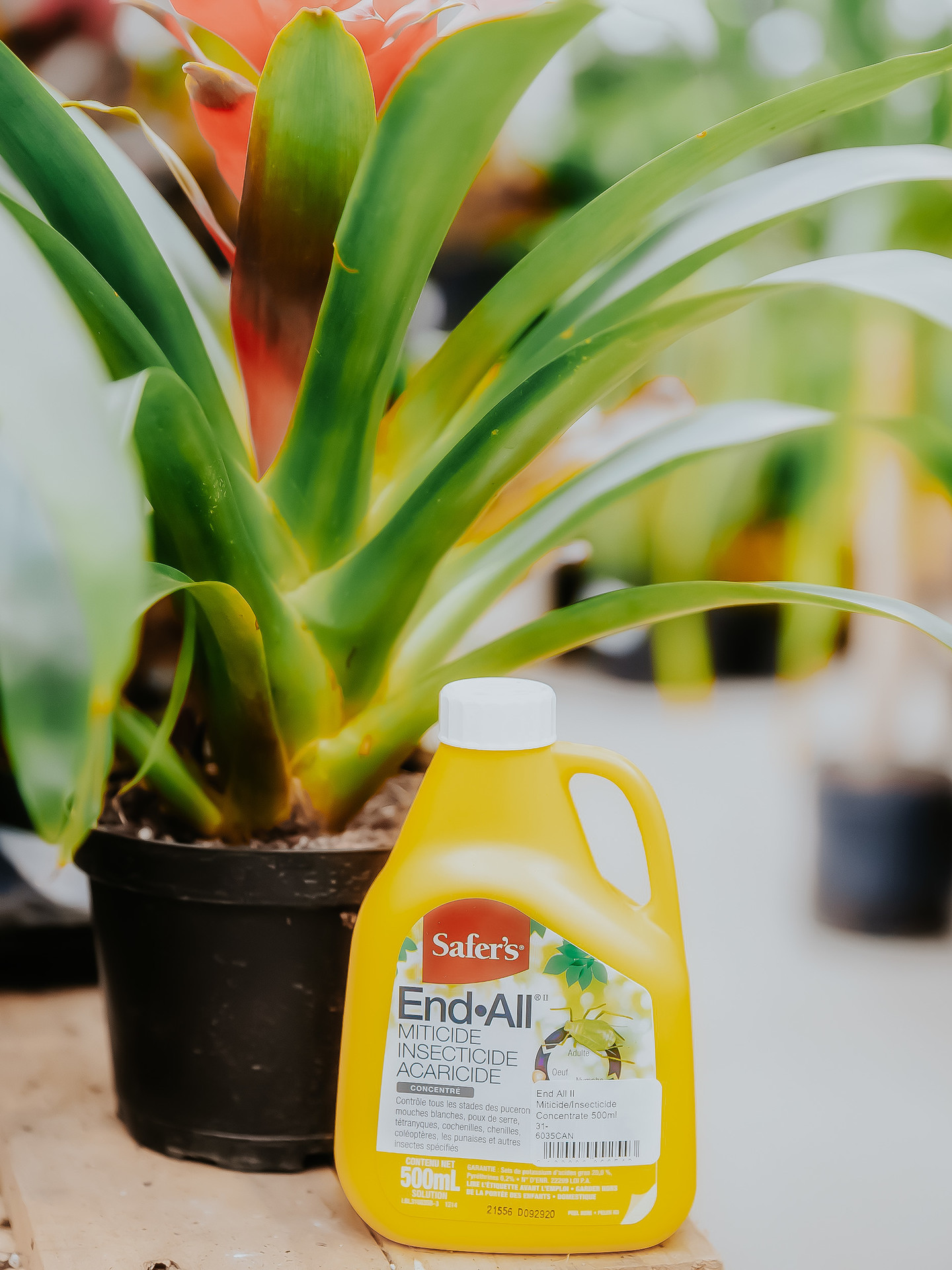 End All II Concentrate 500ml - Dutch Growers Saskatoon