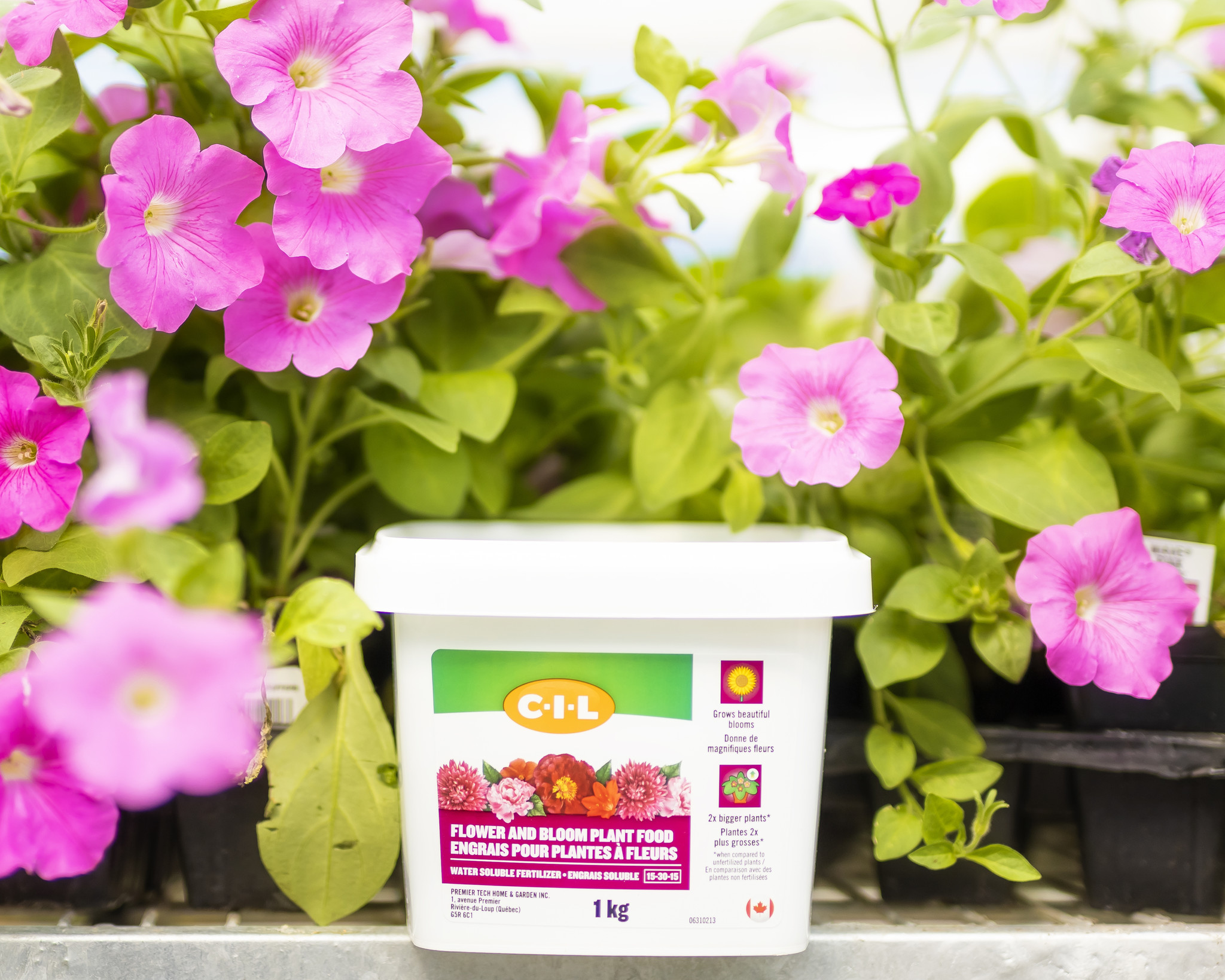 Flowers and Bloom Fertilizer 15-30-15 1kg - Dutch Growers Saskatoon