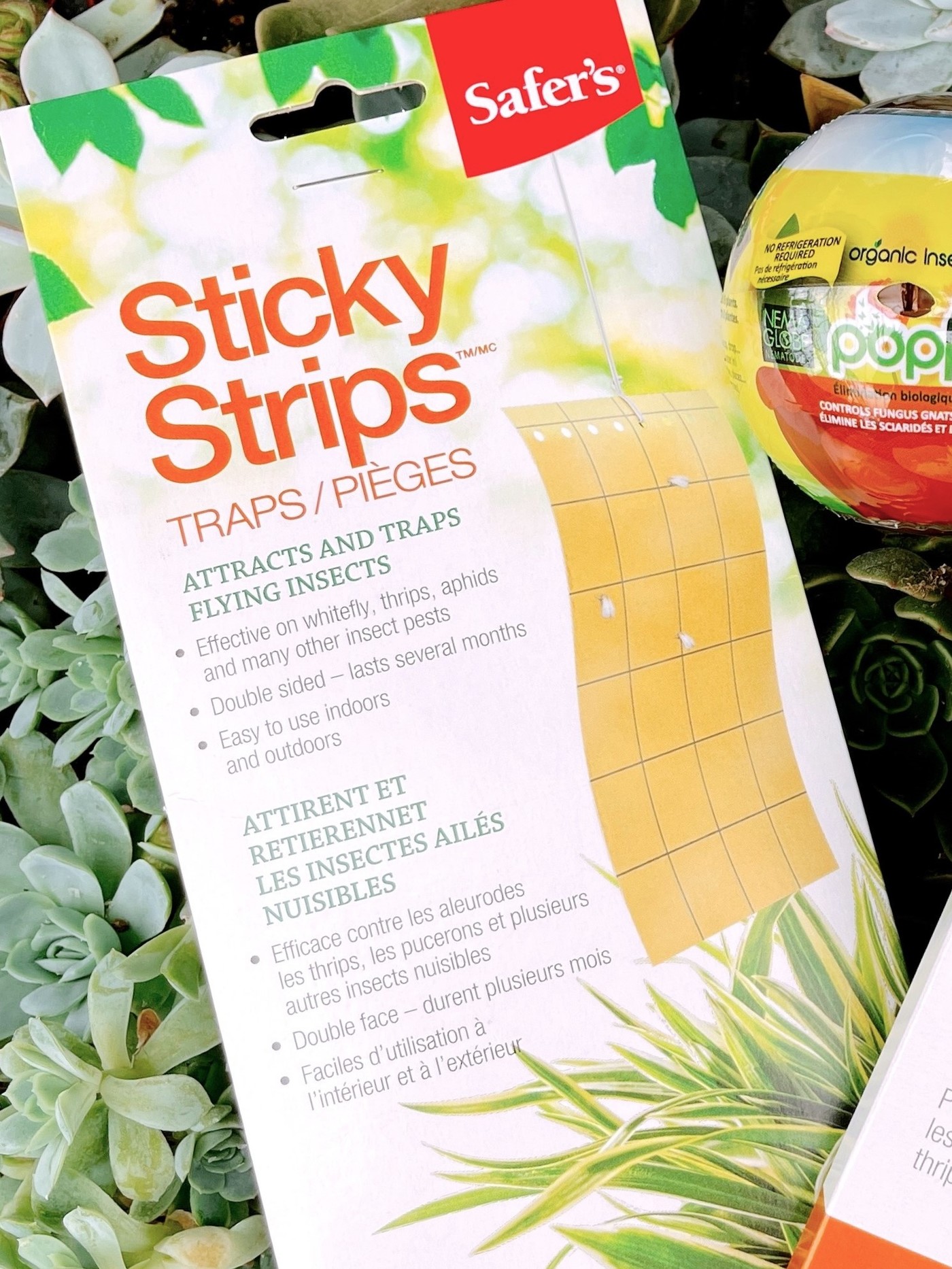 Sticky Strips Traps - Dutch Growers Saskatoon