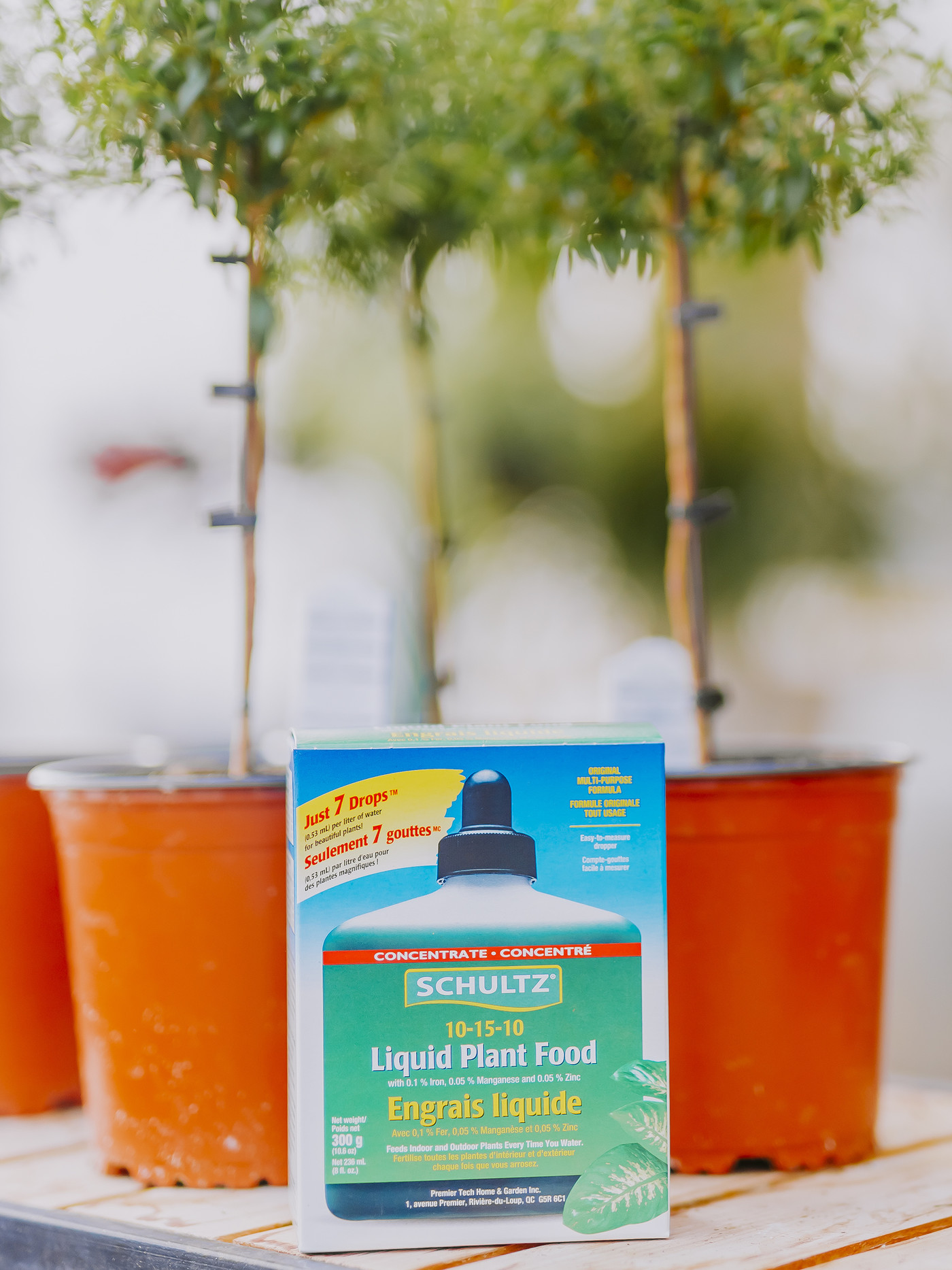 Dutch Growers | Plants & Pots, Plantcare, Fashion, Home & Lifestyle ...