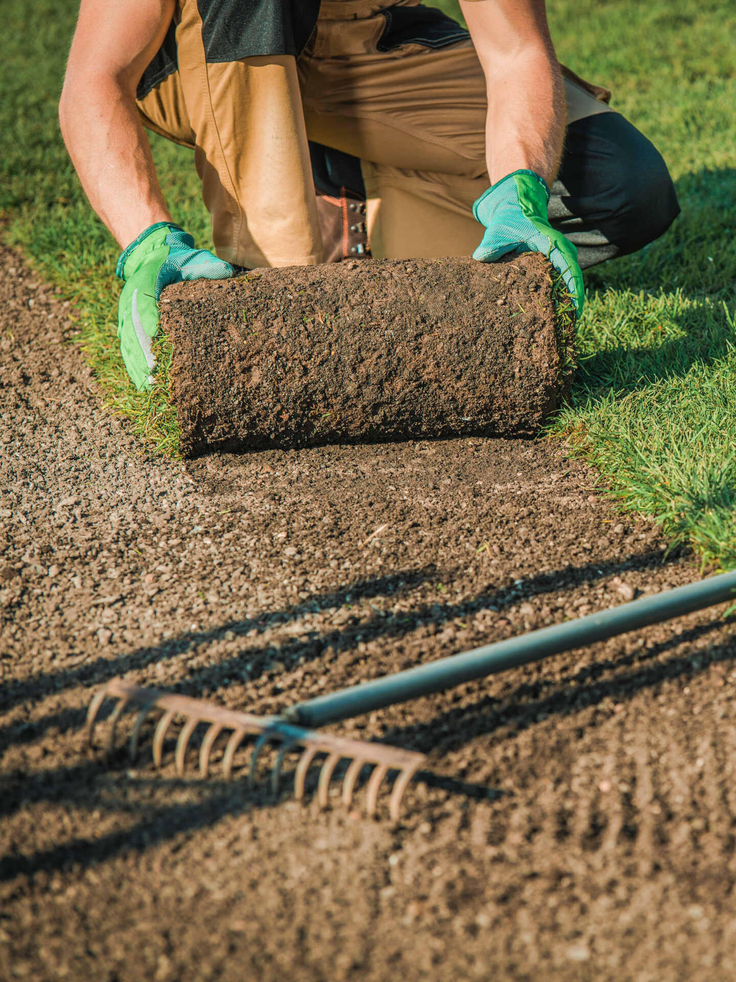 Lawn Fertilizers | Plant Care | Dutch Growers Saskatoon - Dutch Growers ...