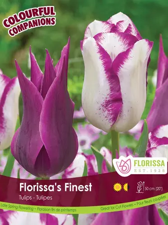 Plants & Pots | Dutch Growers Saskatoon - Dutch Growers Saskatoon