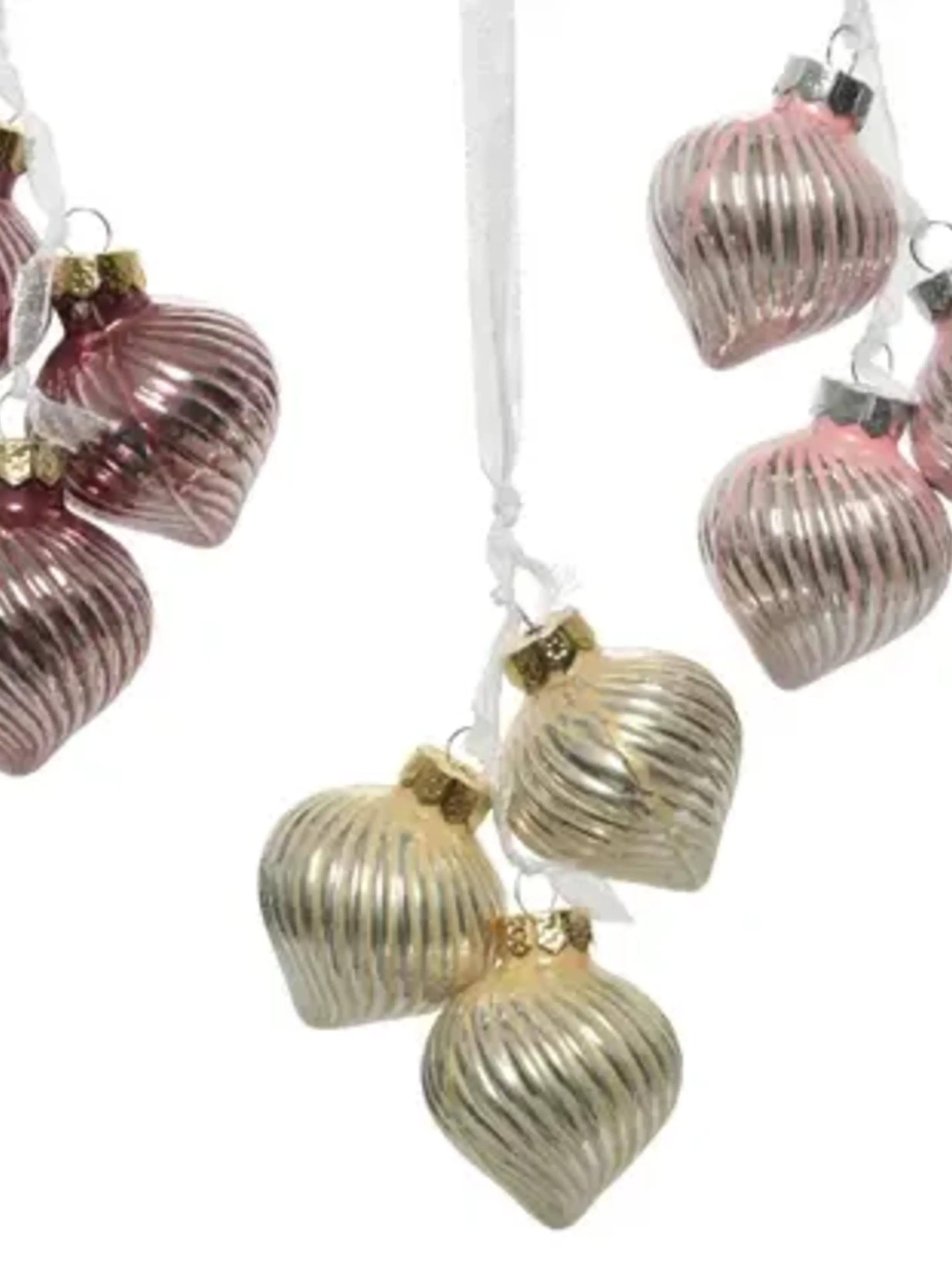 Onion Glass Strand - Dutch Growers Saskatoon