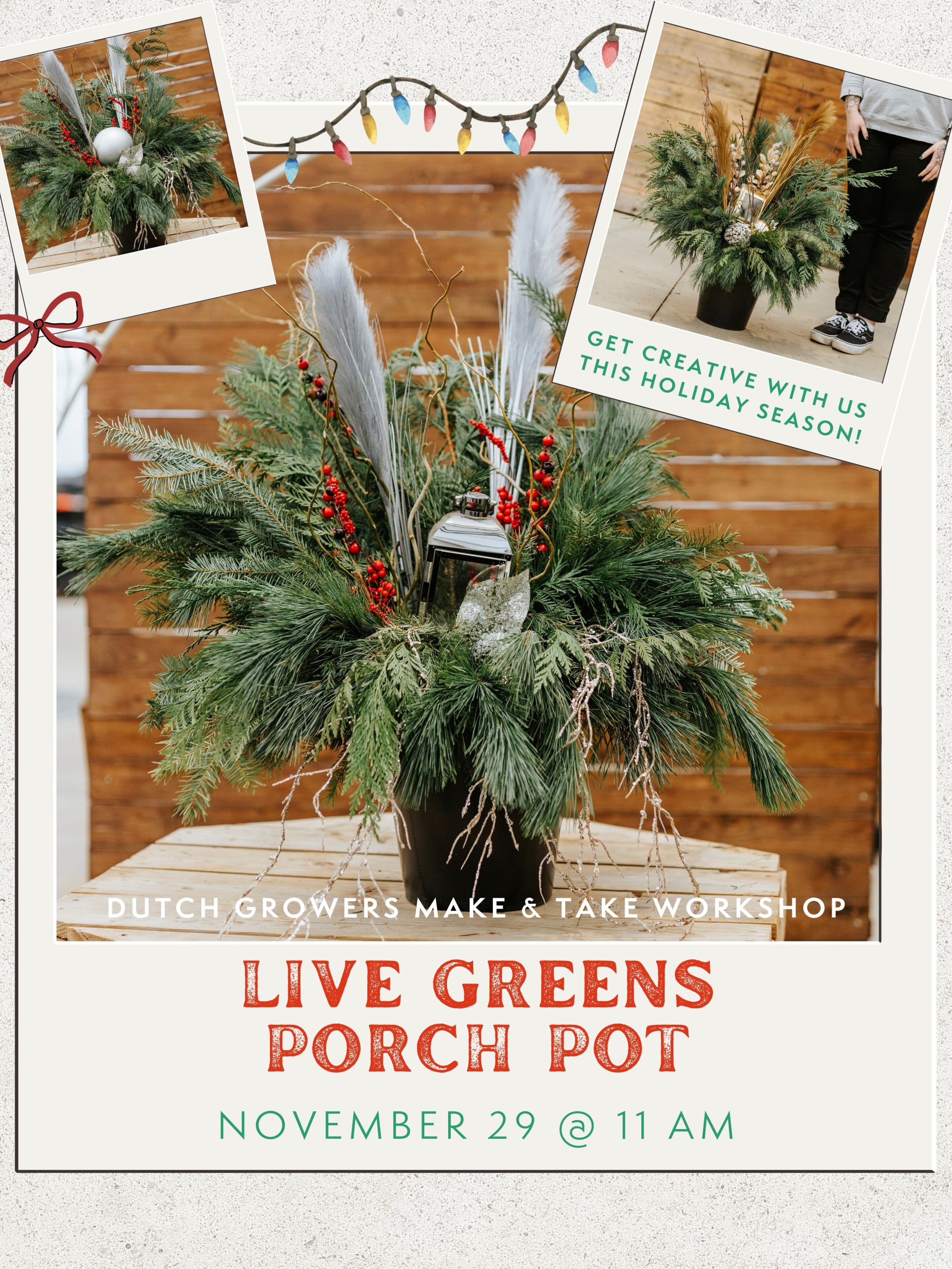 Dutch Growers | Plants & Pots, Plantcare, Fashion, Home & Lifestyle ...