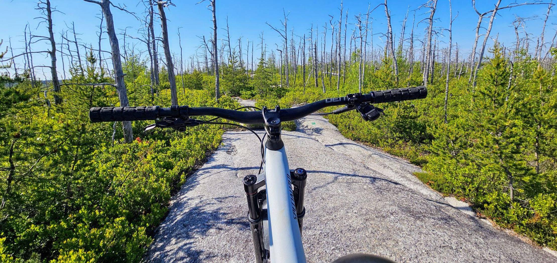 Sportwheels Sports Excellence - Sportwheels Sports Excellence