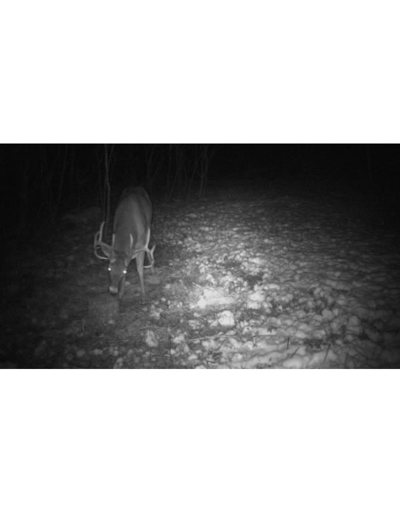 Protein Block 25 lb. - Canada's Leading Big Game Attractants