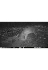 Protein Block 25 lb. - Canada's Leading Big Game Attractants