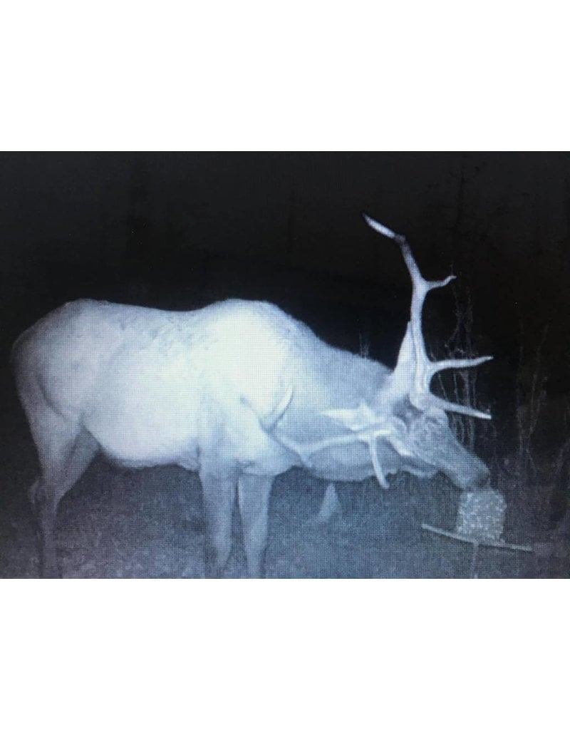 Protein Block 25 lb. - Canada's Leading Big Game Attractants