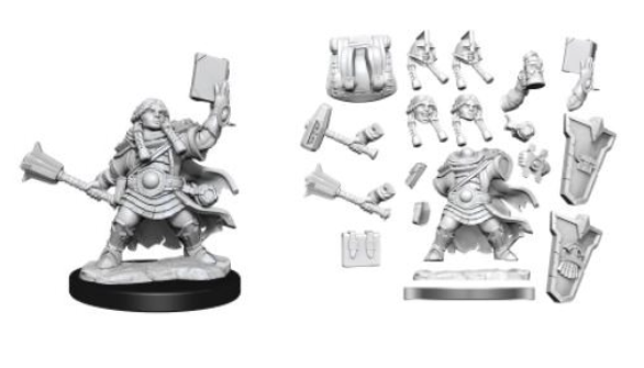 WizKids Dnd Frameworks Mini: Dwarf Cleric Female - Le Griffon