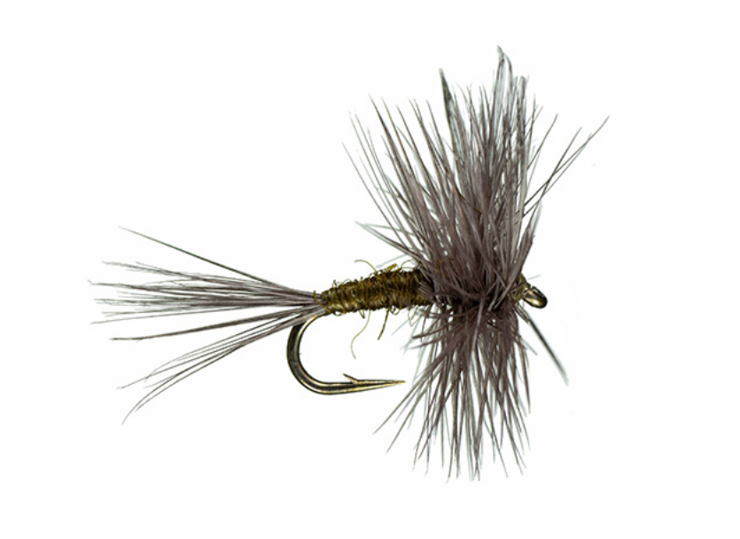 Traditional BWO Dry - Toronto's Fly Fishing Store