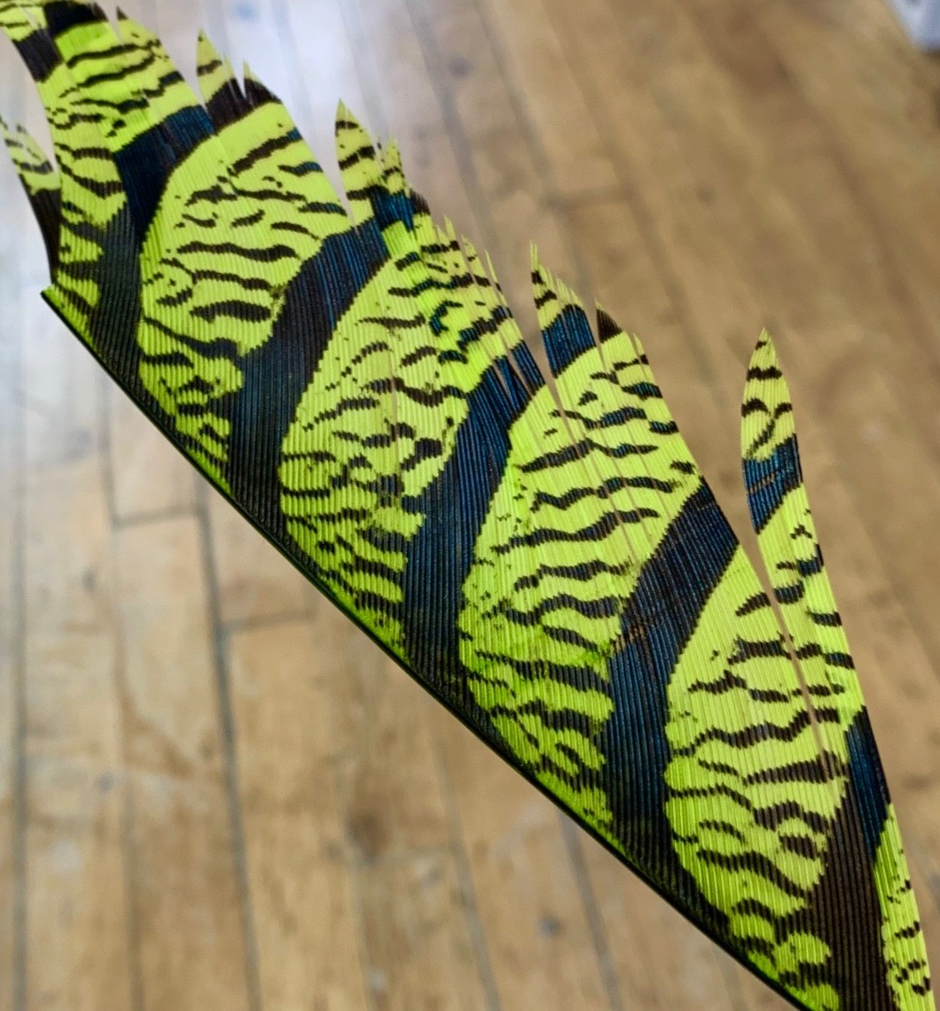 Lady Amherst Pheasant Tail 5 Inch Section Drift Outfitters And Fly Shop Online Store