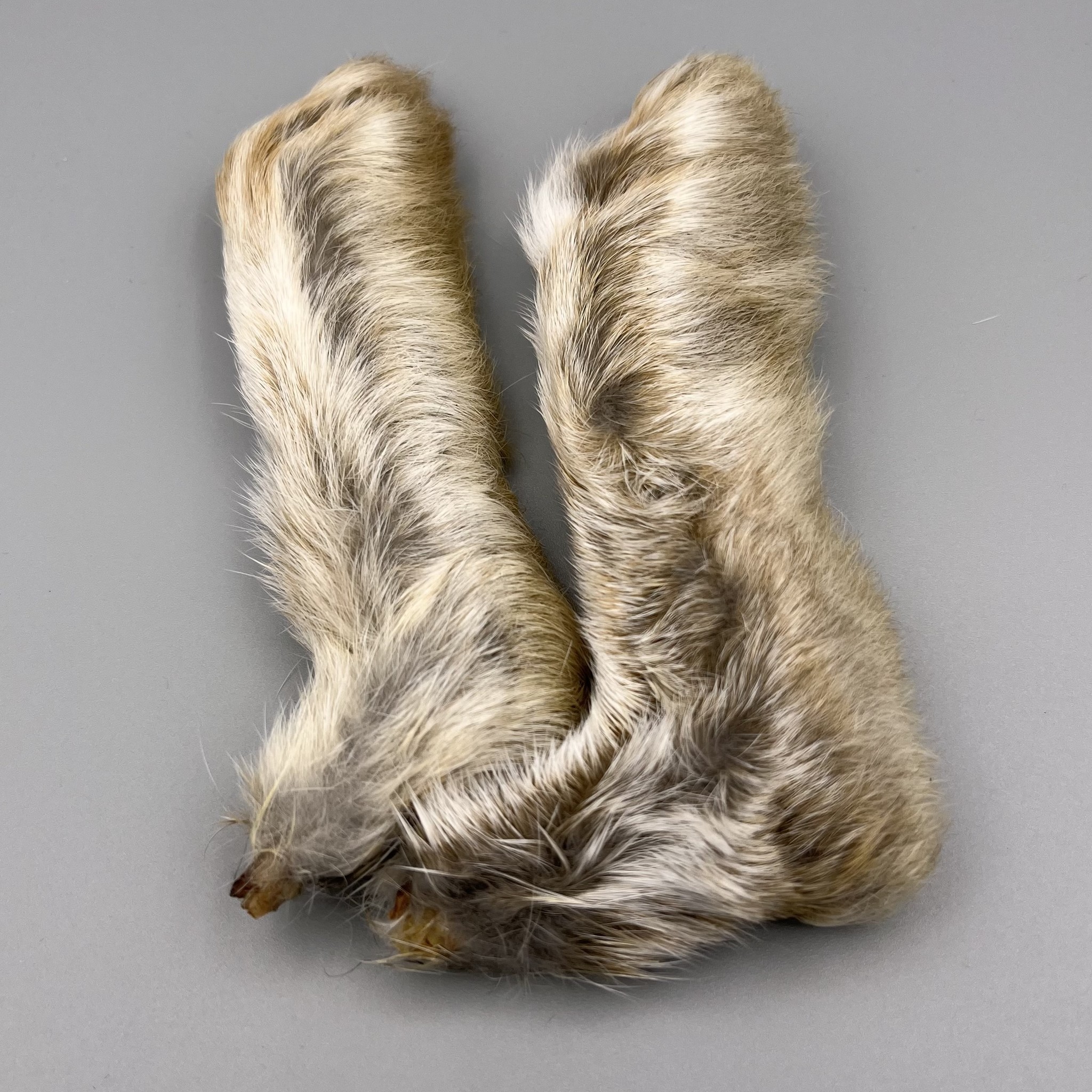 Wapsi Hare's Feet - Natural - Toronto's Fly Fishing Store