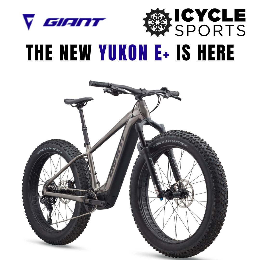 Bike and Ski experts in Whitehorse, Yukon - Icycle Sports