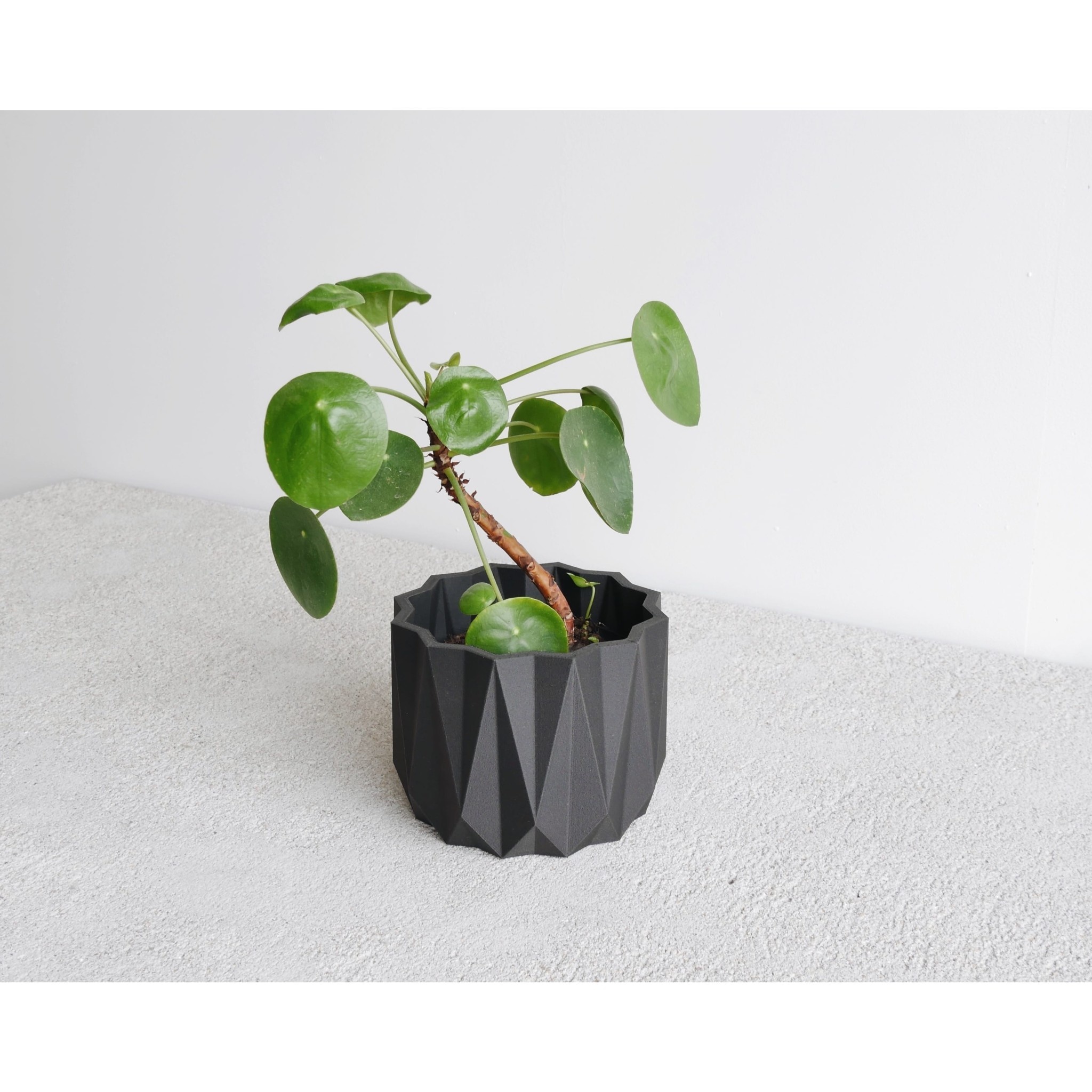 Minimum Design Origami Planter Black Large - Woods Grove