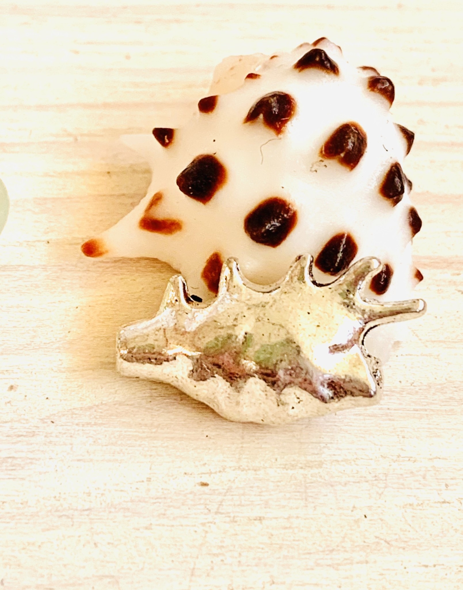 Conch Bead Silver - da Bead Shop