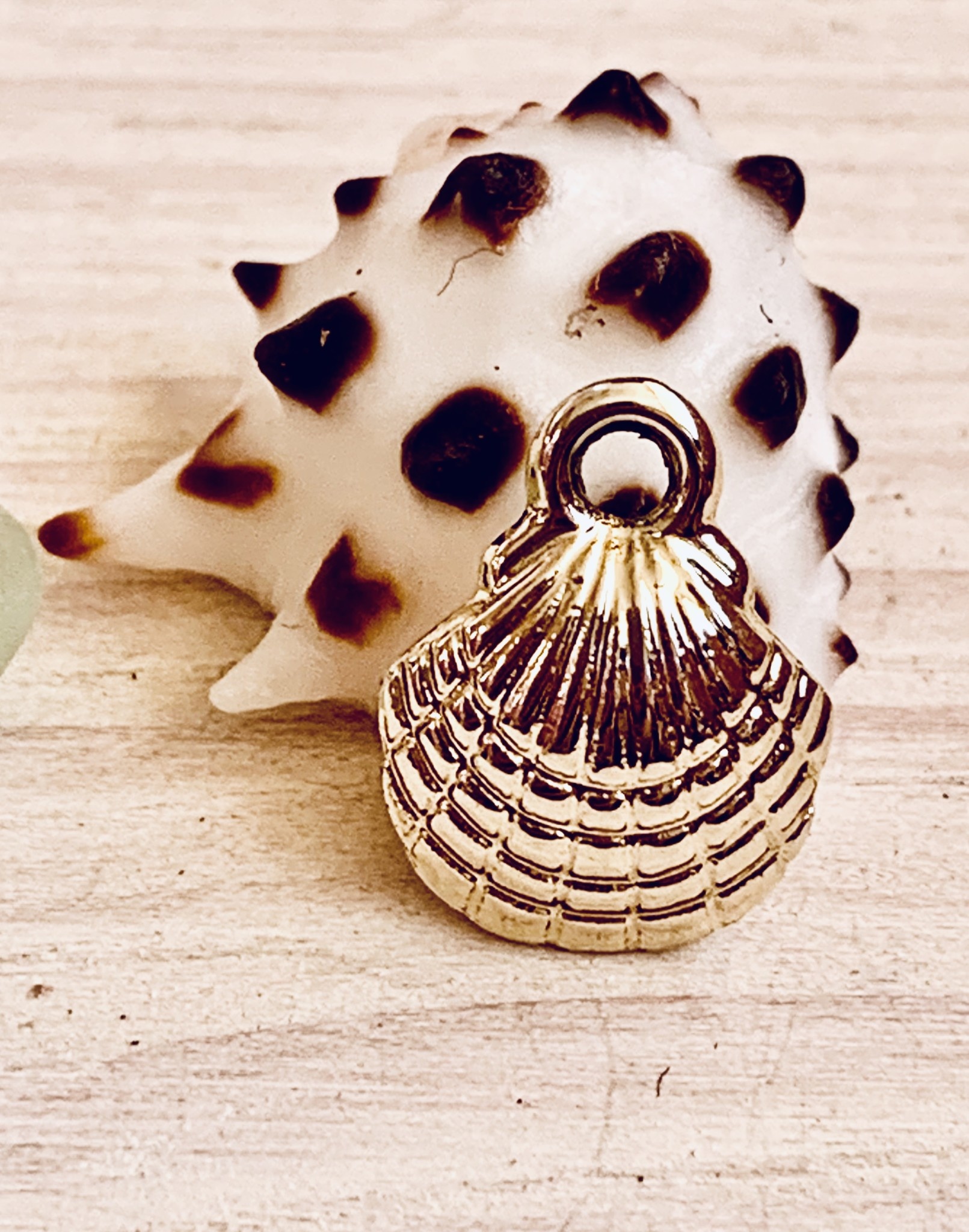 13mm Clam Shell Gold - da Bead Shop