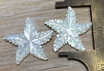 Bumpy Starfish White MOP Pair - da Bead Shop