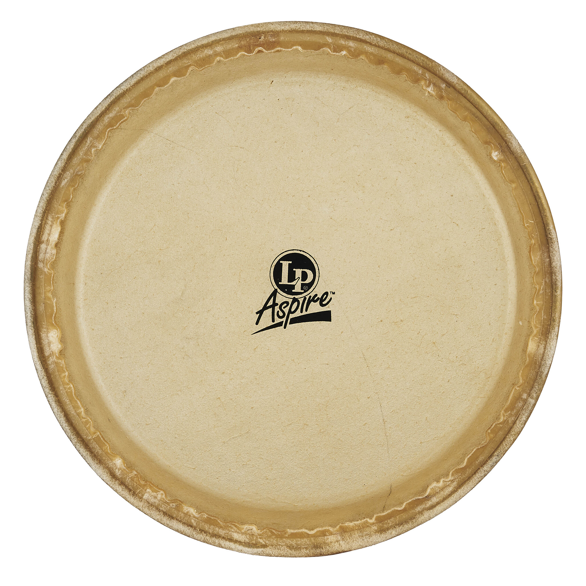 LP LP Aspire 10" Rawhide Quinto Head - Sims Music